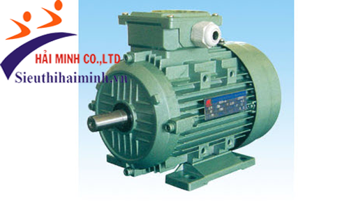 Động cơ điện 3 pha dasu Y2-90L-4 (1.5 kw)